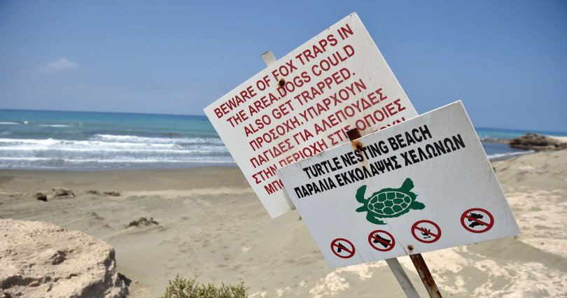 Ακολουθώντας τις χελώνες στις κυπριακές ακτές | Check In Cyprus