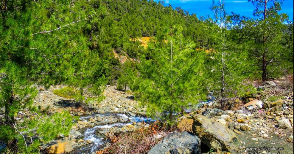 Πάμε να ανακαλύψουμε ένα από τα πιο όμορφα και δροσερά μονοπάτια του ...