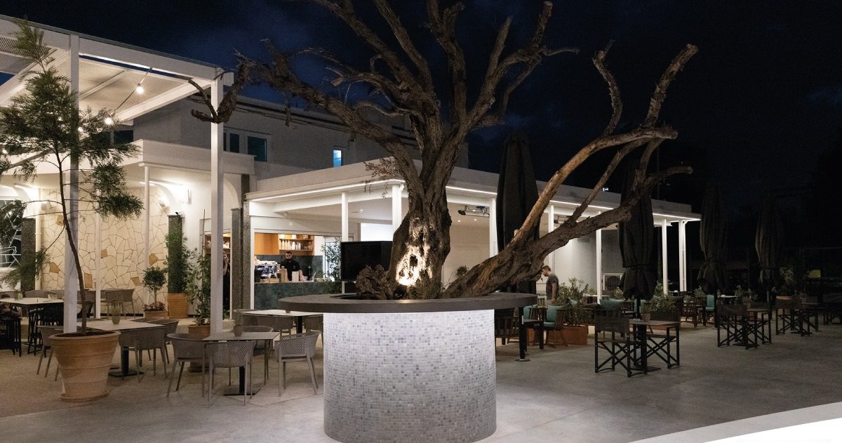 Η Παλαιά Ελιά στον Στρόβολο έφτιαξε πρόγραμμα με live | Check In Cyprus