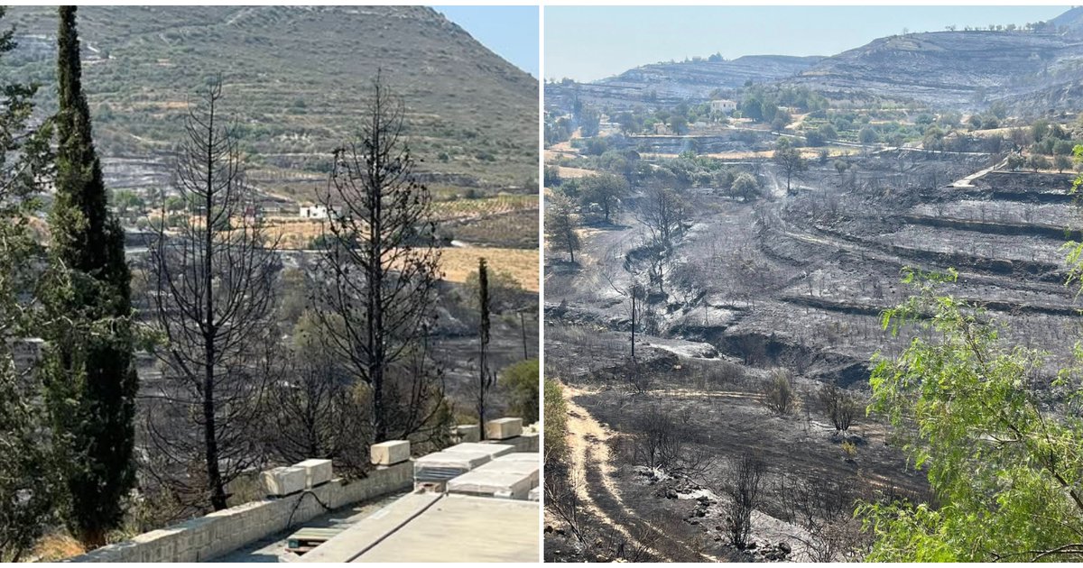 Ασφαλές αλλά πληγωμένο το Οινοποιείο Ζαμπάρτας από την πυρκαγιά ...