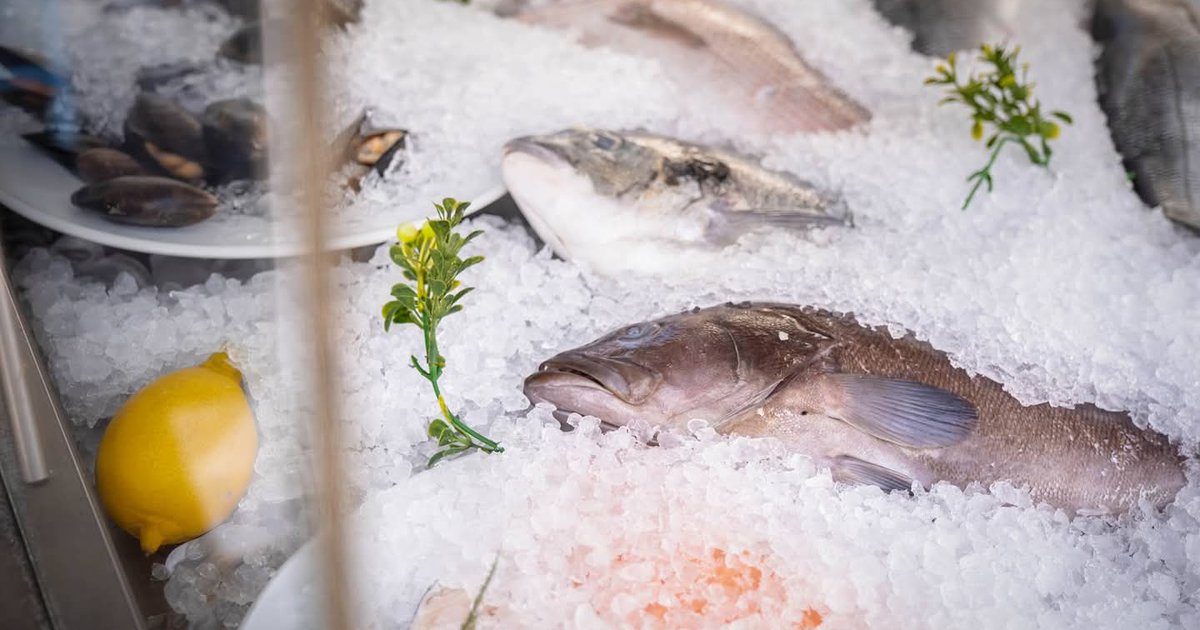 Pelican restaurant: Μία ψαροταβέρνα, μία ιστορία... κι ένας πελεκάνος ...