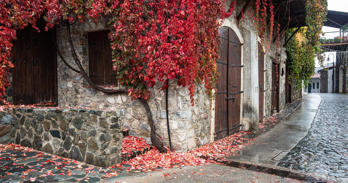 Περπατώντας την Ιστορία του Καλοπαναγιώτη: Ένας βιωματικός περίπατος με το People of Cyprus x ...
