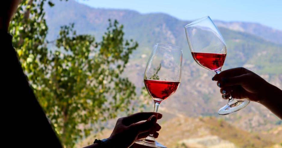 Δοκιμάζουμε κρασιά από γηγενείς ποικιλίες, από 14 σπουδαία κυπριακά ...