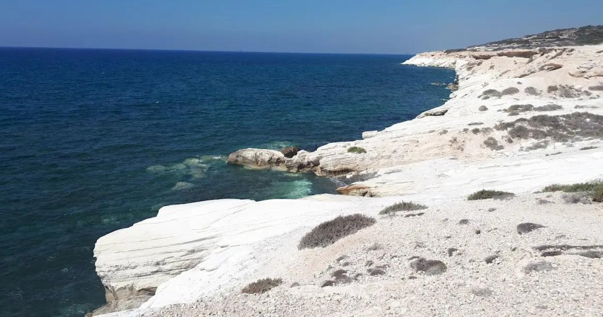 Μια βραδιά στην θάλασσα για jamming και camping | Check In Cyprus