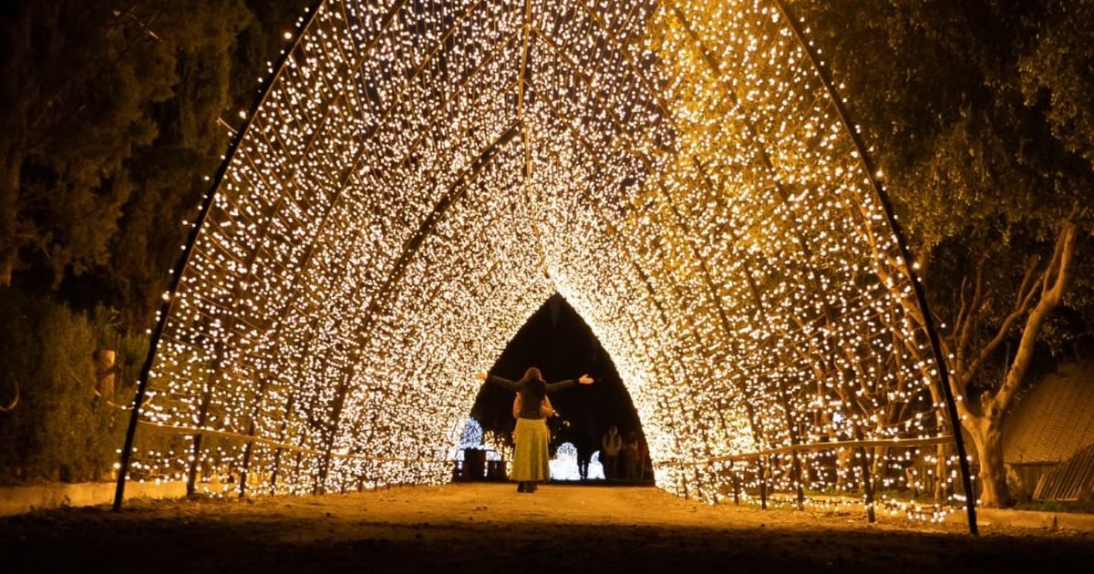 Στο Petrides Farm Park θα νιώσουμε τη μαγεία των Χριστουγέννων | Check ...