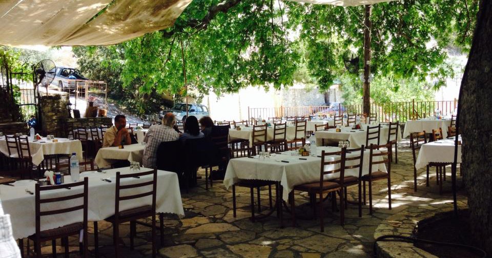 Ο Πλάτανος στον Κάτω Δρυ επιστρέφει | Check In Cyprus