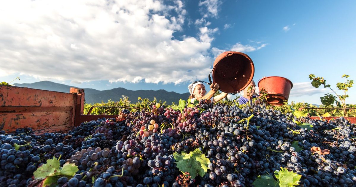 Αποχαιρετάμε το κυπριακό καλοκαίρι με 20 υπέροχες εκδηλώσεις | Check In ...
